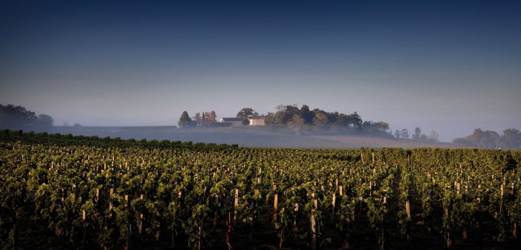 Chateau Quintus | DMC UNCORKED